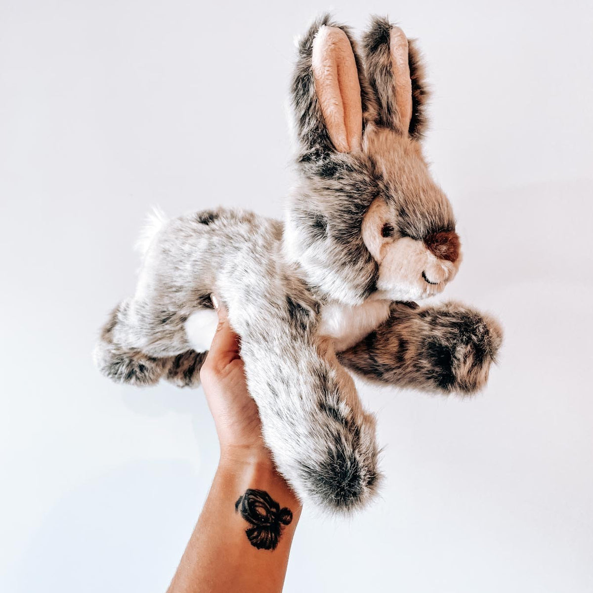 Walter Wabbit – Modern Companion
