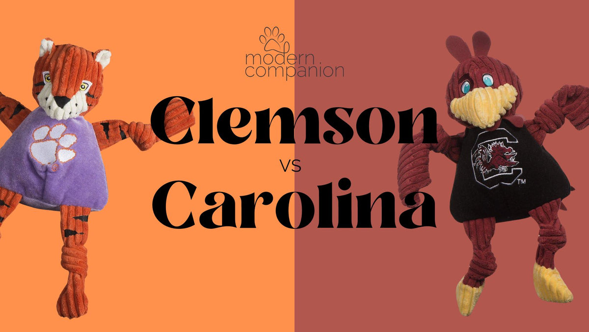 Clemson vs USC. Who has more team spirit? – Modern Companion
