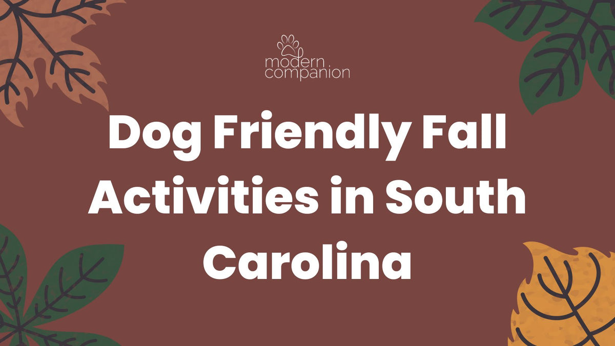 Dog Friendly Fall Activities in the South Carolina Midlands – Modern ...