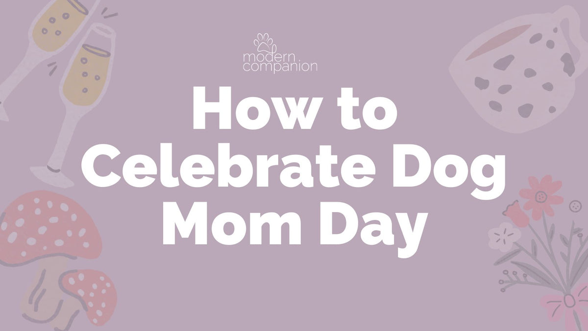 How to Celebrate Dog Mom Day – Modern Companion
