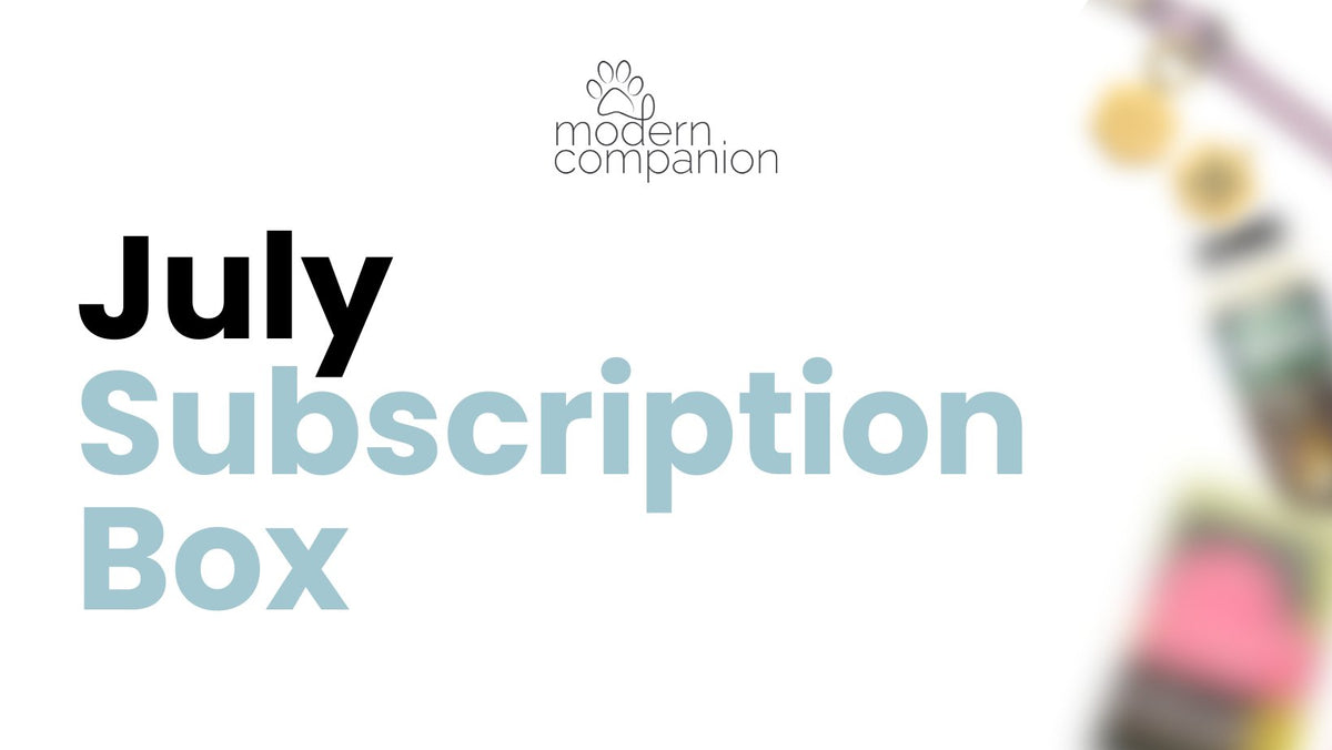 The July Modern Companion Box