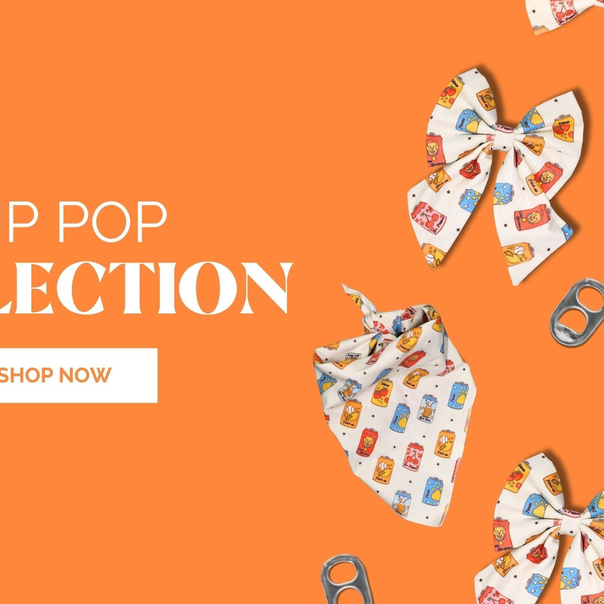 Pup Pop Collection – Modern Companion