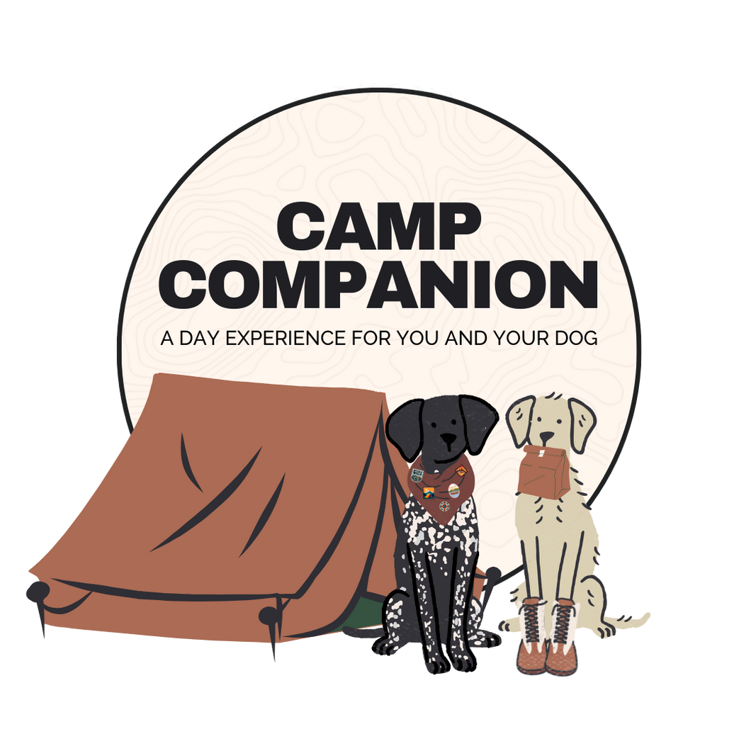 Camp Companion – Modern Companion