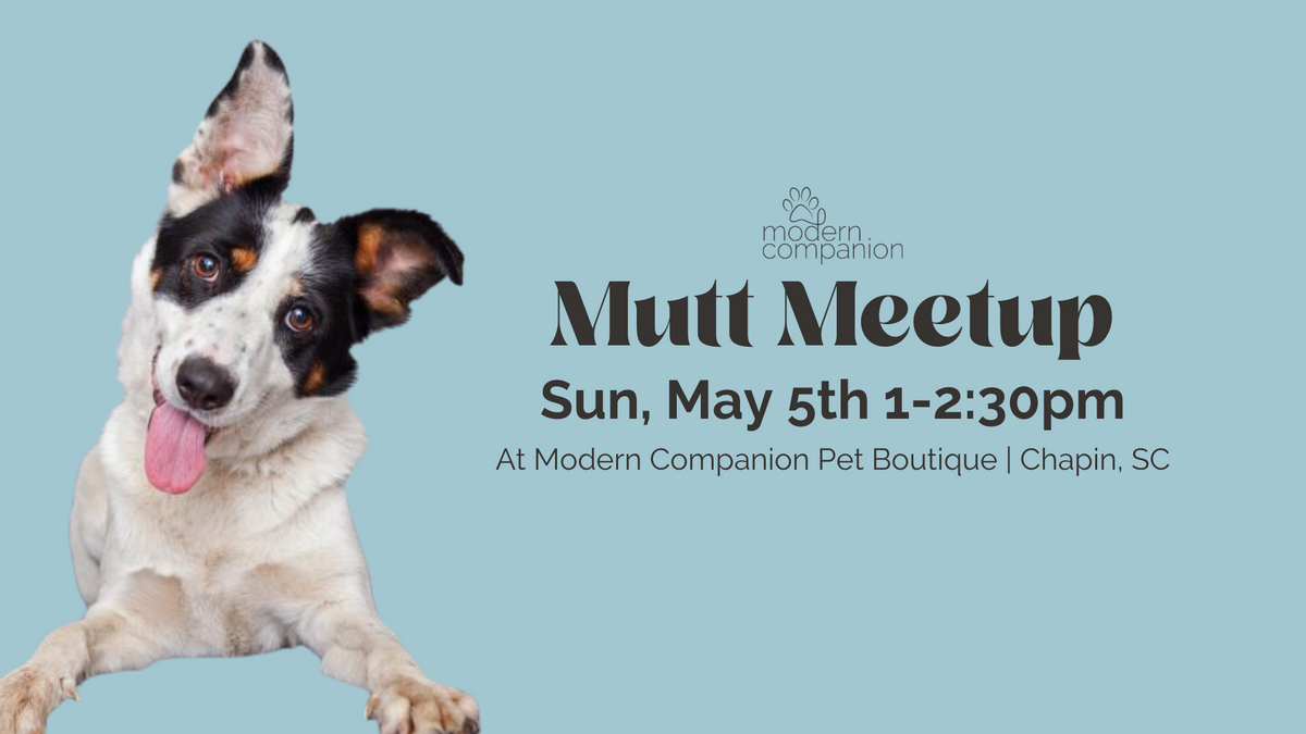 Mutt Meetup – Modern Companion
