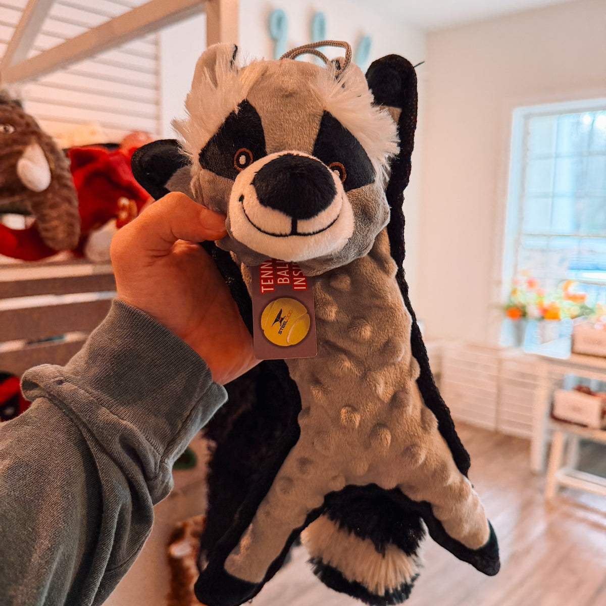 Flat Bumpy Raccoon – Modern Companion