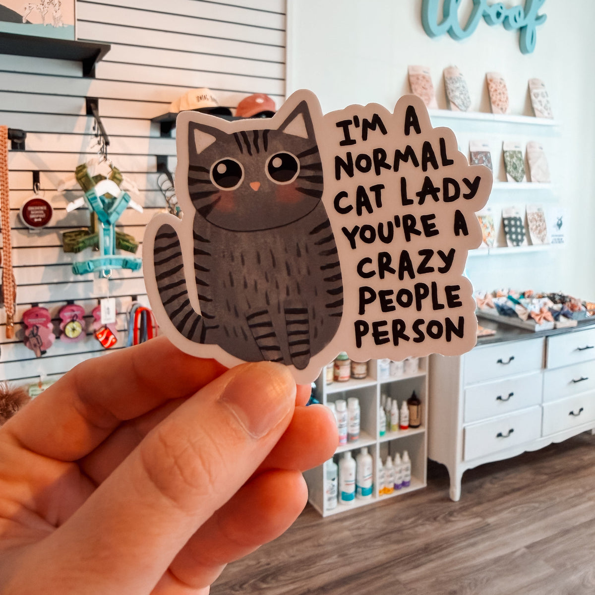 Normal Cat Lady Sticker – Modern Companion