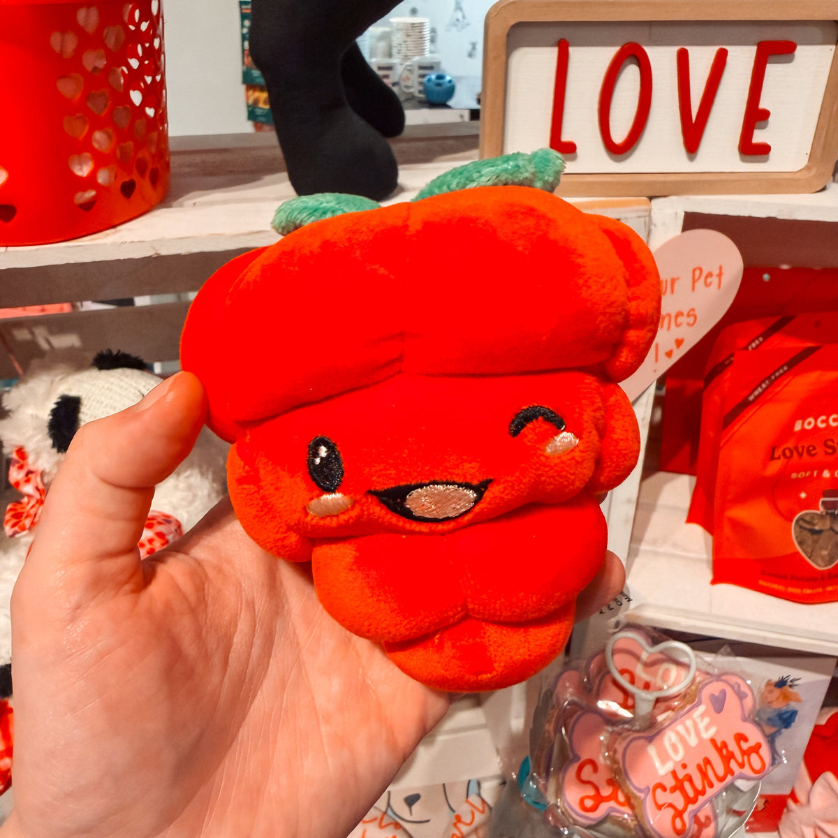 Rasberry Toy – Modern Companion