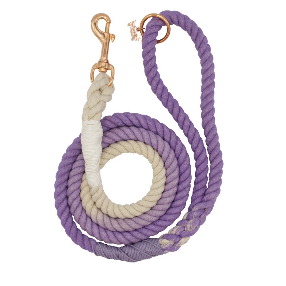 Royal Rope Leash – Modern Companion