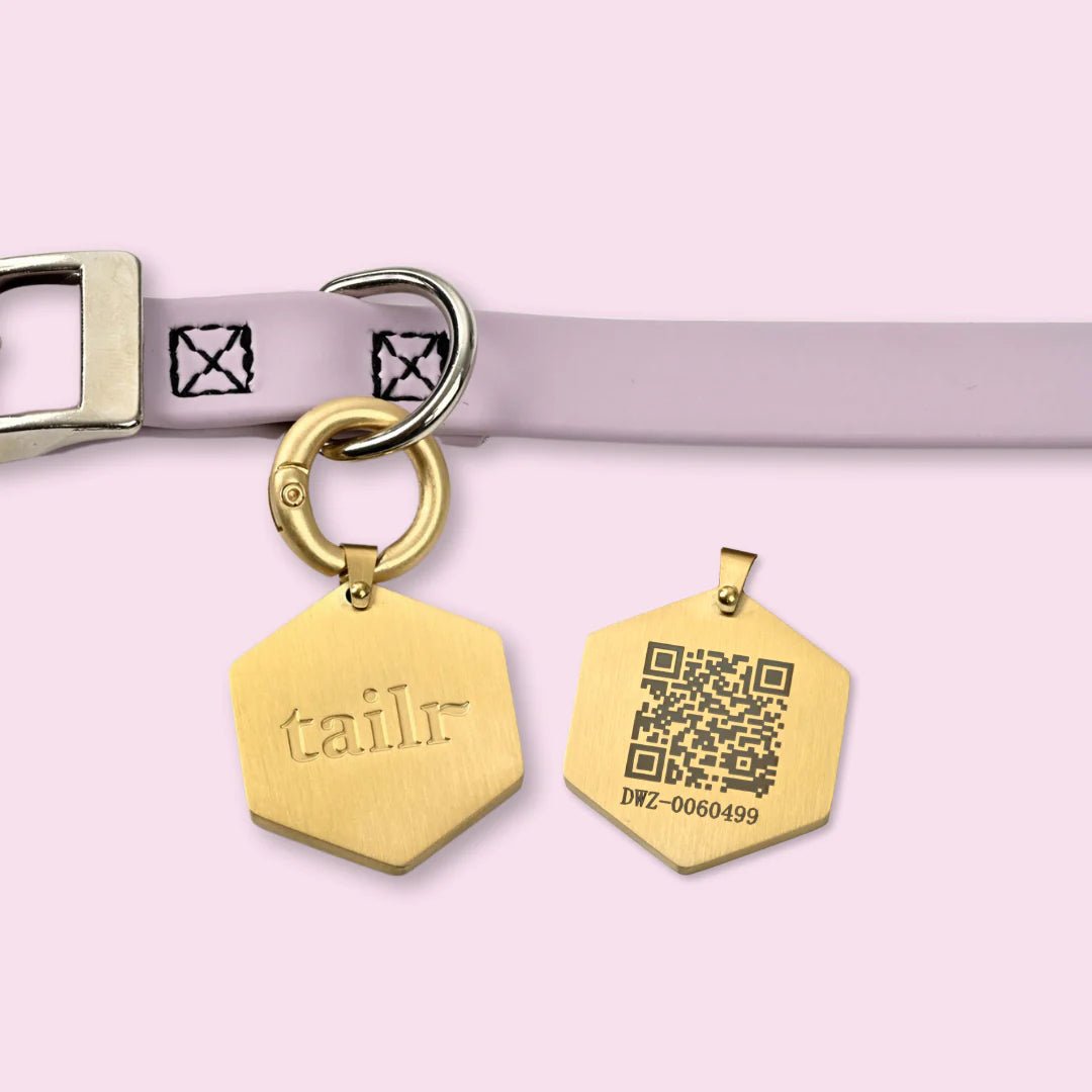 Tailr Classic ID Pet Tag – Modern Companion