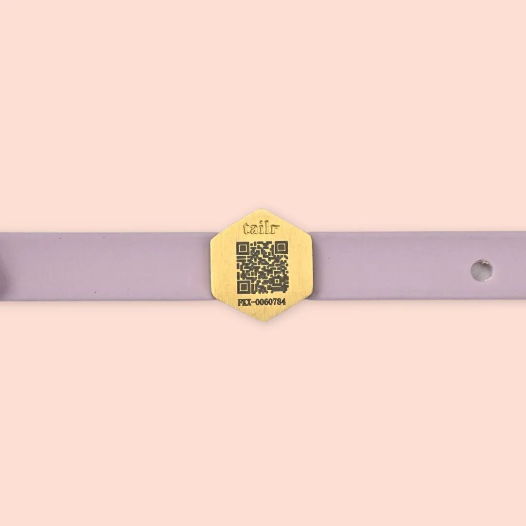 Tailr Slide ID Pet Tag – Modern Companion