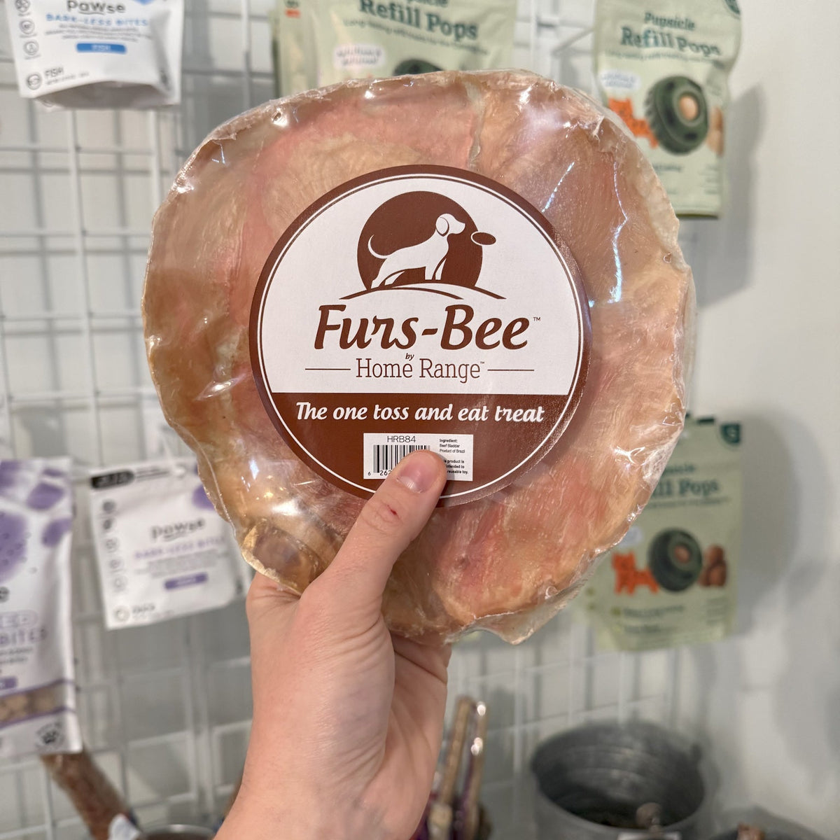 Furs-Bee Bladder Disc – Modern Companion