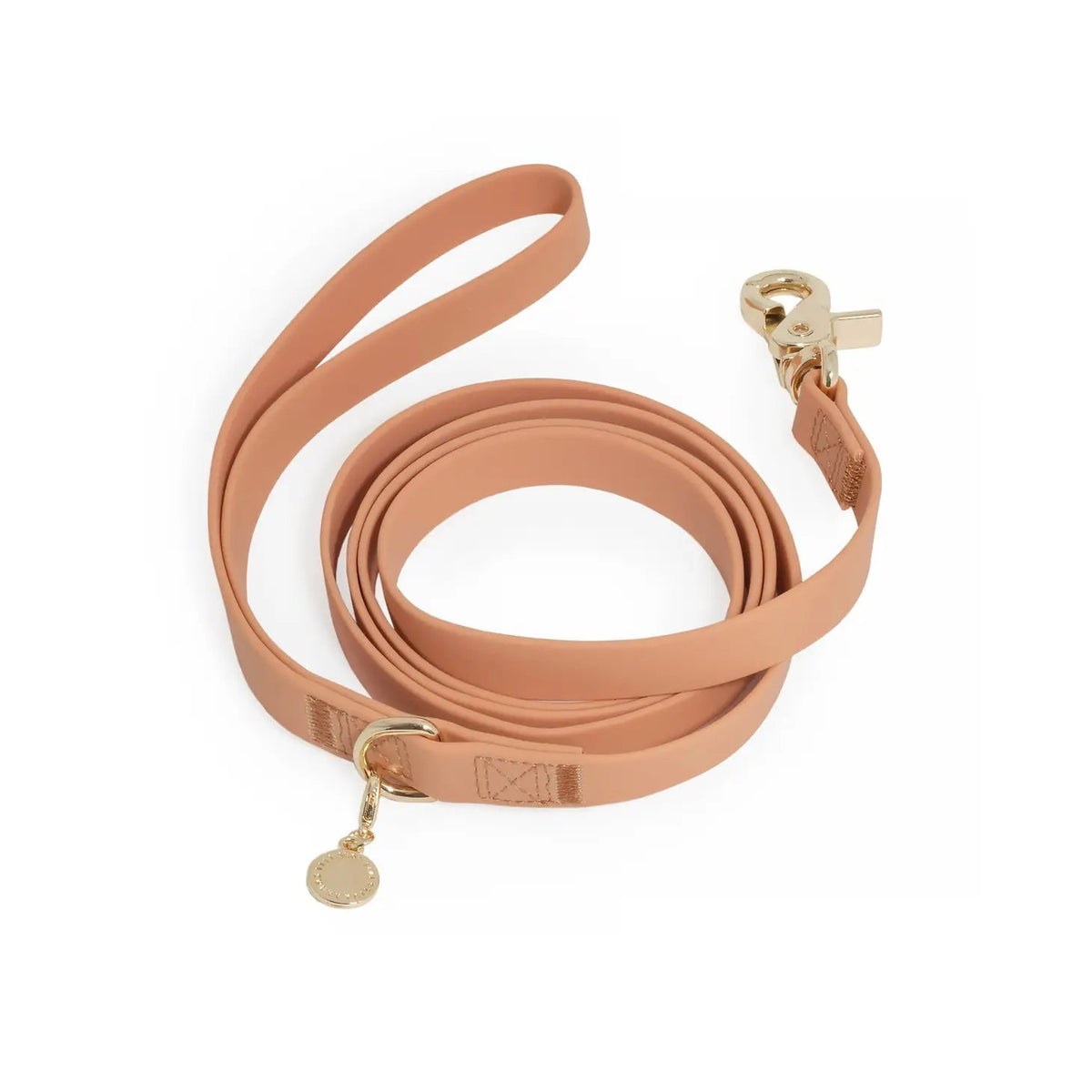 Chai Brown Waterproof Leash – Modern Companion