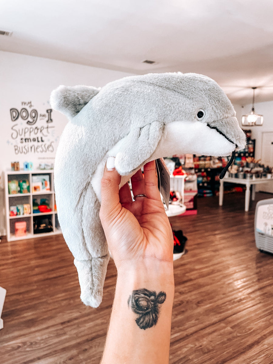 Danny Dolphin – Modern Companion