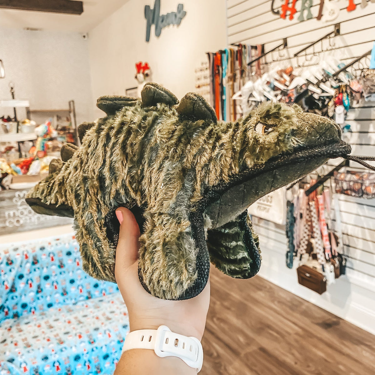 Ruffian Stegosaurus – Modern Companion