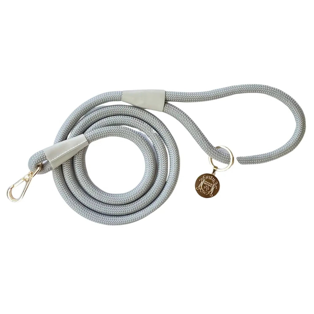 Leashes – Modern Companion